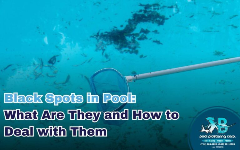 Black Spots in Pool: Causes and Removal Tips