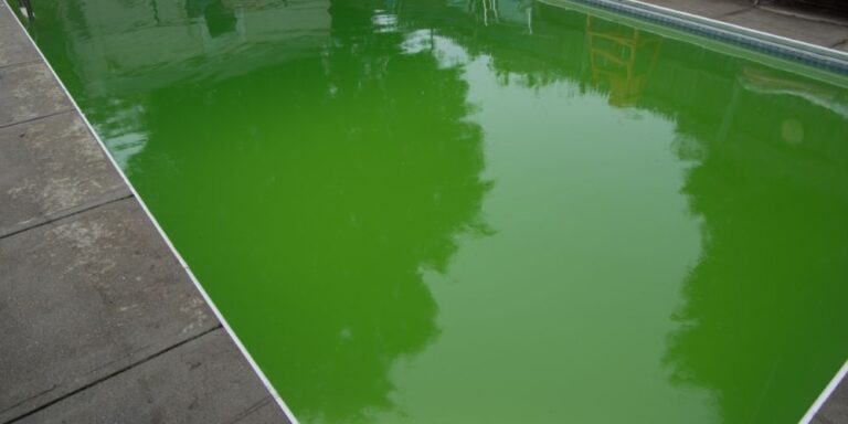 Remove Algae from Pool Walls: Expert Guide for Clear Water