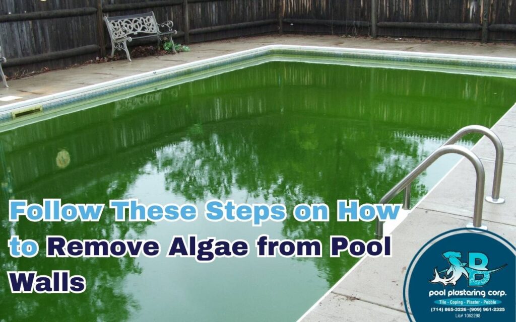 Remove Algae from Pool Walls: Expert Guide for Clear Water